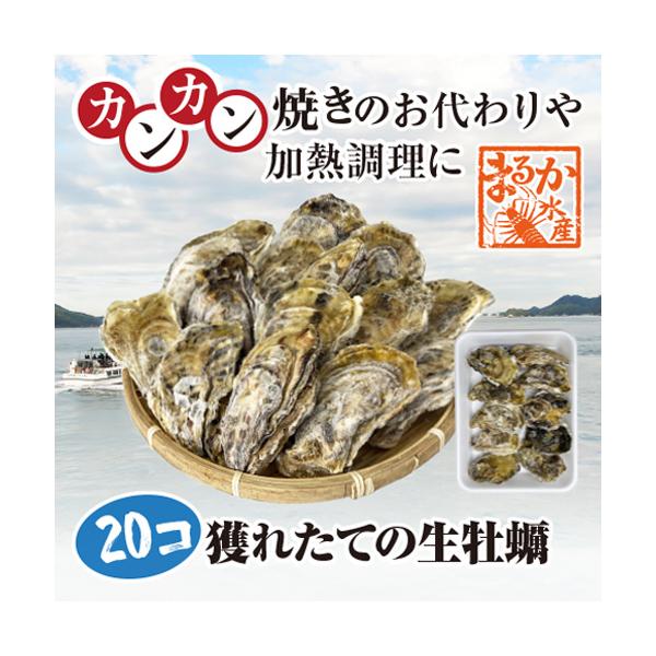 【発売日：2020年12月02日】三重県鳥羽市の離島、答志島桃取産、獲れたての殻付牡蠣「桃こまち」を、カンカン焼きのおかわりなどにお使い頂ける様、ご用意致しました。 商品No.：kaki-200商品内容：活牡蠣「桃こまち」殻付き・加熱用 2...