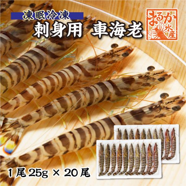 活きの良い車海老を活〆し最新の冷凍技術の「凍眠」で急速冷凍いたしました。プリプリの食感だけでなく、香りも保たれた、逸品です。 こちらの商品は、標準的な大きさの25gサイズが20本入っています。 トレーに1尾ずつ並べてパッケージしてありますの...