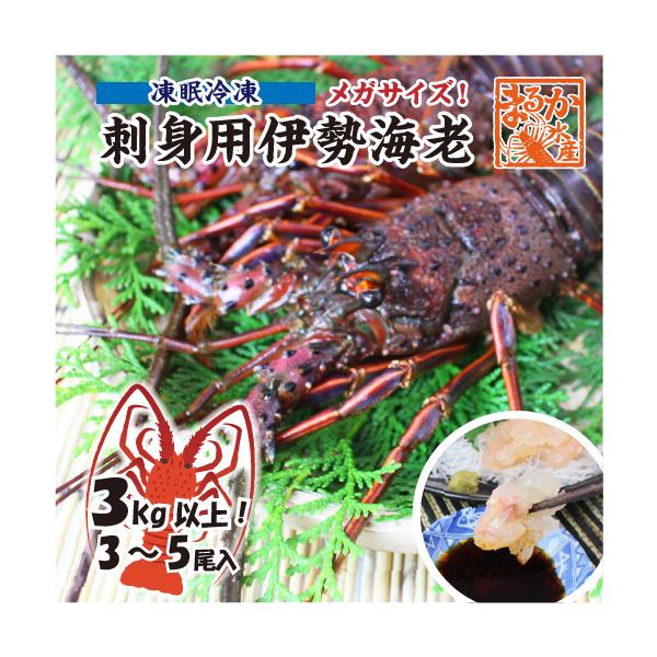 1尾600g〜1kg以上の特大〜メガサイズの伊勢海老を3〜5尾のセットでお届けします。本商品は合計3kg以上でのお届けとなり、サイズ不揃いや入数に変動があるため、通常よりも少しお得な価格でご用意しました。大ぶりで贅沢な味わいを、この機会にぜ...