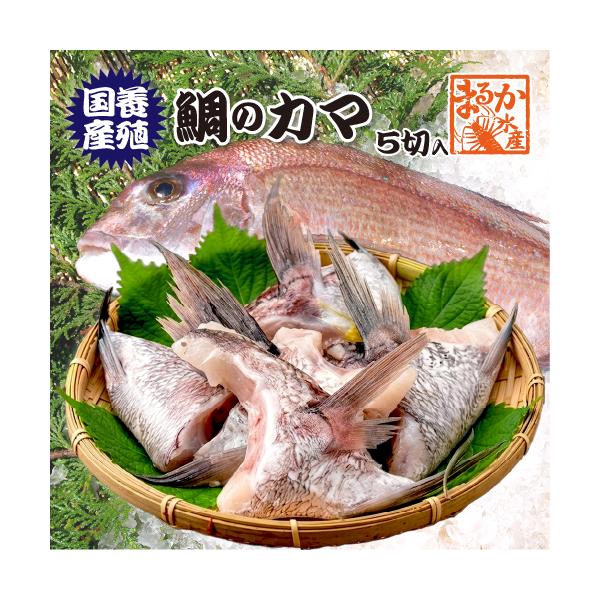 三重県南伊勢産 養殖真鯛を使用！職人が店内で捌いてすぐに真空パック冷凍しているため、鮮度と旨味は一級品！形は不揃いですが、脂乗り抜群の美味しいカマをお届けします。塩焼きやソテー、煮付けや潮汁にどうぞ。 ■商品内容：冷凍 （国産養殖）　1.2...