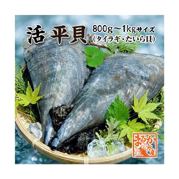 知る人ぞ知る、ホタテを超える最高級二枚貝「平貝（タイラギ）」高級寿司店や料亭で「殻付きの平貝」を見かけることはあっても、一般的なスーパーに並ぶことは滅多に無い、数ある二枚貝の中でも日本最大級の大きさを誇る、非常に希少な高級食材です。「サクッ...