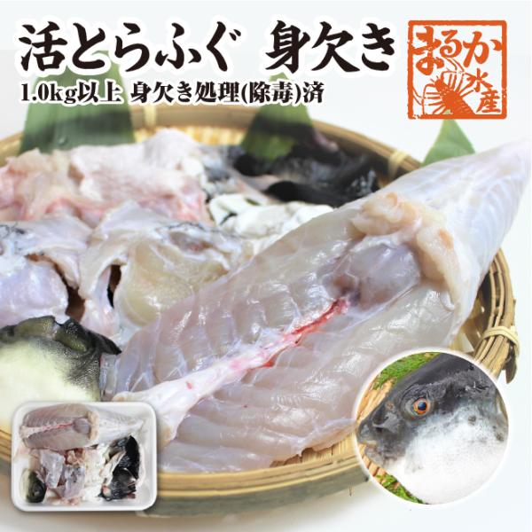 非常に肉質の良い長崎産の高級「とらふぐ」を身欠処理（除毒）をしてお届けいたします。白子は入っていません出荷の当日に約1.0ｋｇのサイズを「とらふぐ」捌いて、冷蔵で発送いたします。毒のある部分を取り、身、あら、皮などで500~600g程度にな...