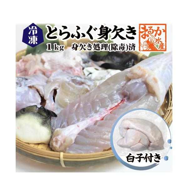 非常に肉質の良い長崎産の高級「とらふぐ」を活〆・身欠処理（除毒）後、新鮮な状態で、急速冷凍致しました。こちらのとらふぐセットは白子付きです。■商品番号：torafugu-001s-f■商品内容：冷凍 とらふぐ身欠き済　1.0キロサイズ　　身...