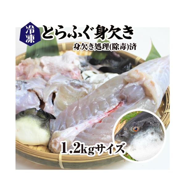 非常に肉質の良い長崎産の高級「とらふぐ」を捌いて（身欠処理（除毒して）新鮮な状態で、急速冷凍致しました。■商品番号：torafugu-012-f■商品内容：冷凍 とらふぐ身欠き済　1.2キロサイズ　　身欠処理（除毒）済（身欠処理後約600g...