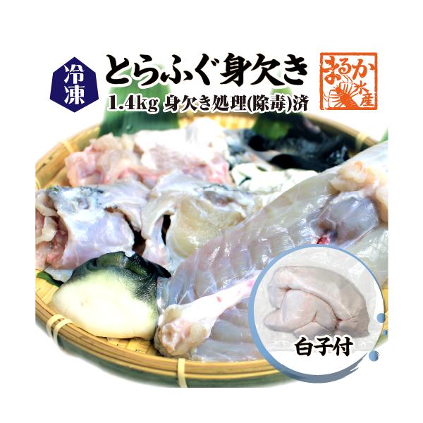 非常に肉質の良い長崎産の高級「とらふぐ」を活〆・身欠処理（除毒）後、新鮮な状態で、急速冷凍致しました。こちらのとらふぐセットは白子付きです。■商品番号：torafugu-014s-f■商品内容：冷凍 とらふぐ身欠き済　1.4キロサイズ　　身...