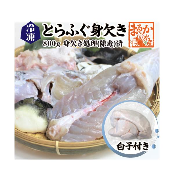 非常に肉質の良い長崎産の高級「とらふぐ」を活〆・身欠処理（除毒）後、新鮮な状態で、急速冷凍致しました。こちらのとらふぐセットは白子付きです。■商品番号：torafugu-800s-f■商品内容：冷凍 とらふぐ身欠き済　800gサイズ　　身欠...