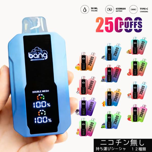 0％ニコチン電子シーシャ特徴：●バッテリー：650mAh●容量：30ml●パフ：25000パフ （回数は個人差があり）●抵抗値メッシュコイル 1.0Ω（ダブルメッシュ）●ニコチン：0%●フレーバー：12種類の素晴らしいフルーツフレーバー●充...