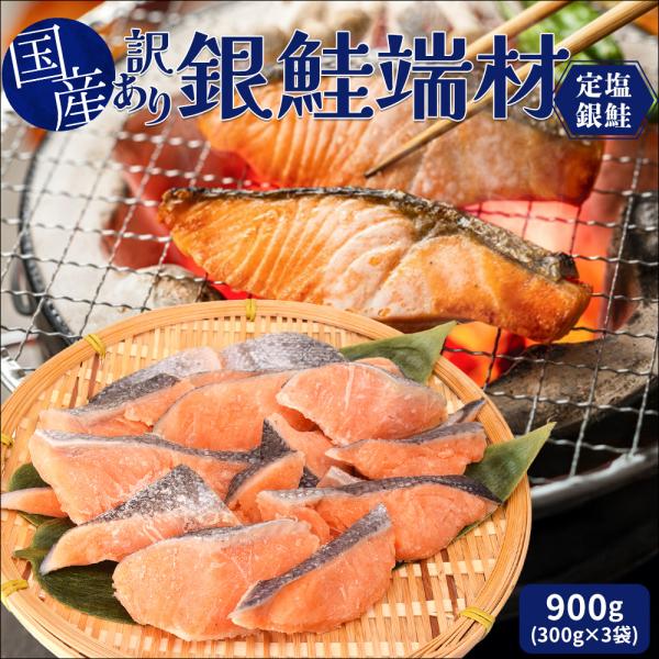 送料無料 切り身、尾部が入った無選別でお得な銀鮭切り身の詰め合わせ。食卓に、お弁当にも大活躍