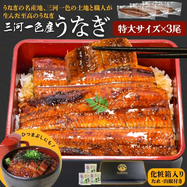 プレゼント ギフト 冷凍便 送料無料うなぎの名産地 愛知県三河一色の土地と職人が生んだ至高のうなぎ 化粧箱入 贈り物 ギフトに