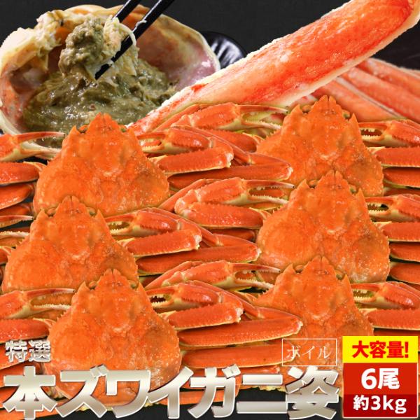 冷凍便 送料無料 三重県のかに専門輸入バイヤー厳選 身づまり良好なカナダ産ボイル本ずわいがに姿が数量限定のお買い得特価