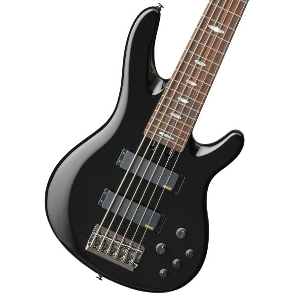 スーパーロングスケールが生み出す迫力の低音！TRB1000シリーズの6弦モデルです。■TRBシリーズどのモデルも35インチ(889mm)スーパーロングスケールを採用。長年の研究に基づいたボディ・ネック構造と最先端のピックアップ＆サーキットが...