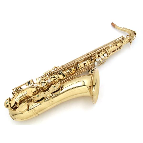 アイゼン　テナーサックス　FUGAシリアル番号208883　管体重量3463グラム（ネック158グラム）ラッカー仕上げ、ソルダードトーン、HighF#key付のモデル。通常使用に伴う傷やラッカー剥がれが所々に点在していますが大きなダメージは...