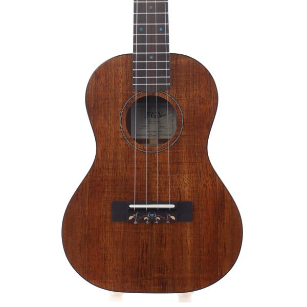 FUJIGEN FUS-TT-LG101が入荷しました。世界的なギター工場としても知られるフジゲンの職人技術により、非常に精密に組み上げられています。フレットの処理やネックの安定性が高く、初心者からプロまで安心して使える品質です。コンディシ...
