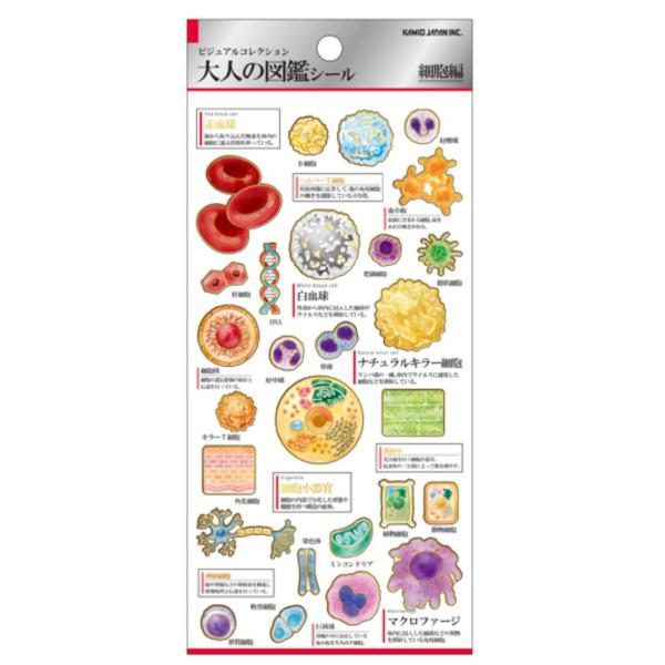 【発売日：2026年01月31日】カミ228109 【日本製】【大人の図鑑】シール【細胞】【人体】【ビジュアルコレクション】【ステッカー】【ミニ】【プチ】【文房具】【雑貨】【グッズ】【かわいい】【日本製】【大人の図鑑】シール【細胞】【人体】...