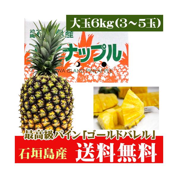 【発売日：2026年06月20日】【2026年産石垣島ゴールドバレル予約受付中】別格の美味しさをもつ最高級パイン「石垣島ゴールドバレル」！たっぷりの果汁にやさしい甘い香り。そして上品でまろやかな甘さを持っています。初めてゴールドバレルを食べ...