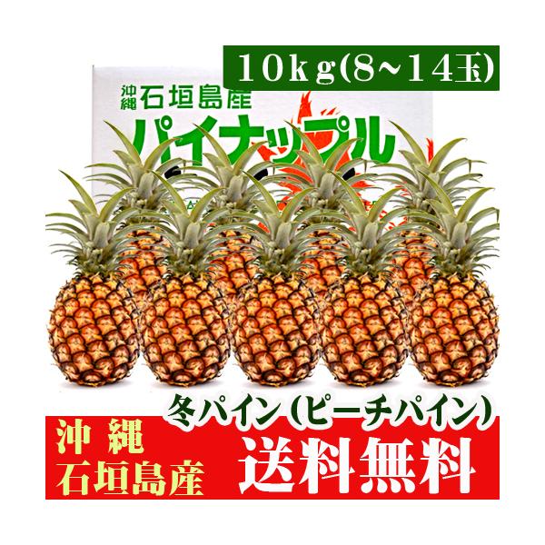 2026年産 石垣島の冬パイン（ピーチパイン）注文受付中です。通常、ピーチパインの甘さがのった旬の美味しい時期は４〜７月ですが、こちらは、冬でも美味しくパインが食べれるようにと長年試行錯誤で冬のパイン栽培を手掛けてきた農家さんが栽培する冬の...