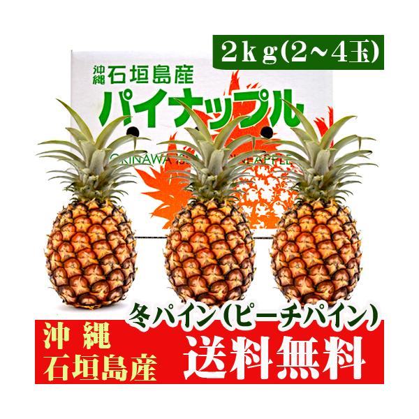 2026年産 石垣島の冬パイン（ピーチパイン）注文受付中です。冬でも美味しくパインが食べれるようにと長年試行錯誤で冬のパイン栽培を手掛けてきた農家さんが栽培する冬のピーチパインです。バランスのいい酸味と甘さ、しっかりした香りが楽しめるピーチ...
