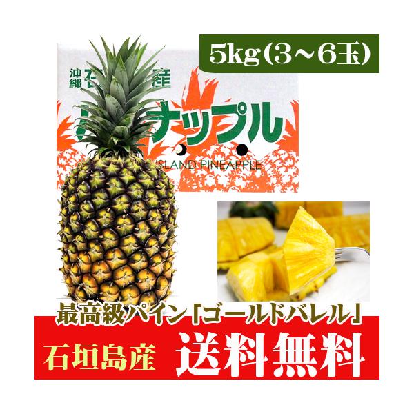 【発売日：2026年06月20日】【2026年産石垣島ゴールドバレル予約受付中】発送時期は５月下旬〜７月上旬の収穫期間内での発送になります。別格の美味しさをもつ最高級パイン「石垣島ゴールドバレル」！たっぷりの果汁にやさしい甘い香り。そして上...