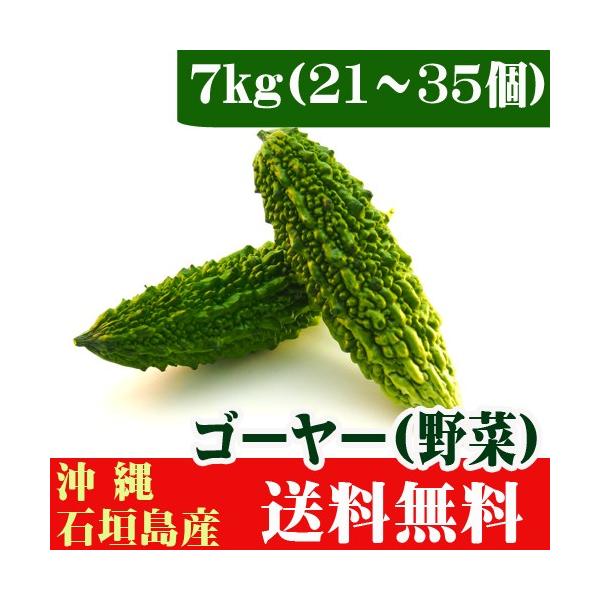 栄養満点！沖縄料理には欠かせない島野菜「ゴーヤー」。沖縄料理やゴーヤジュース、ゴーヤチップスなどいろいろな料理にお楽しみください。ほんのりした苦味が美味しい石垣島産のゴーヤー。<br>お徳用・まとめ買い用の石垣島産ゴーヤー７ｋｇ...