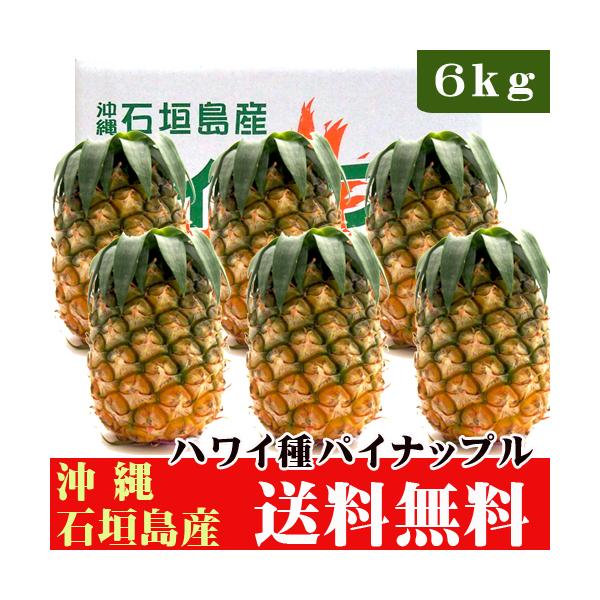 【発売日：2026年07月20日】【20265年産 石垣島パイン ハワイ種 予約受付】　今年も石垣島より甘~いパインお届けいたします！　配達日指定などはできませんのでご了承ください。国産路地で育てた最高級パイン「石垣島パイナップル（ハワイ種...