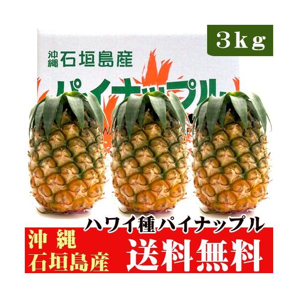 【発売日：2026年07月15日】【2026年産 石垣島パイン ハワイ種 予約受付】　今年も石垣島より甘~いパインお届けいたします！ ※配達日指定などはできませんのでご了承ください。国産路地で育てた最高級パイン「石垣島パイナップル（ハワイ種...