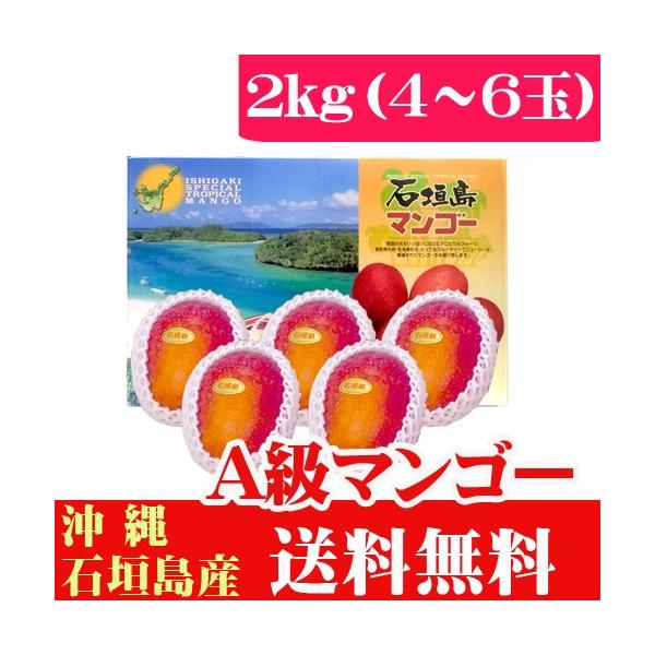 【発売日：2026年07月06日】【2026年産 石垣島マンゴー！】　今年も石垣島より濃厚な甘さのマンゴーお届けいたします！　配達日指定などはできませんのでご了承ください。自然落下した樹上完熟のみを収穫した石垣島産完熟マンゴー！当店最高品質...