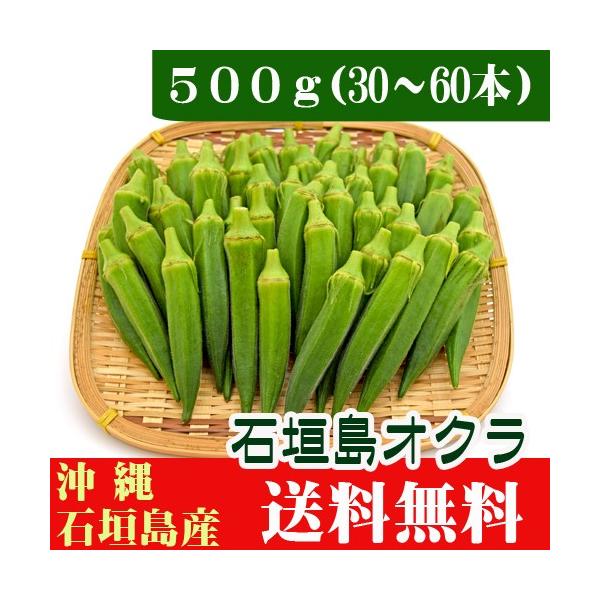 　ネバネバ元気野菜！！太陽の恵みをたっぷり浴びた「石垣島産オクラ（生）」。切ったときの断面が五角形になるオクラの定番「角オクラ」です。オクラの日本一早い出荷が可能な石垣島は、沖縄県内でも屈指のオクラの産地！！2006年には、沖縄県からオクラ...