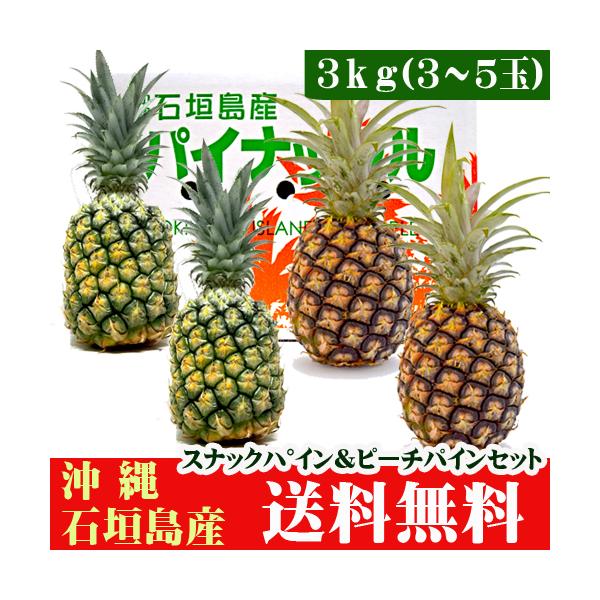 【発売日：2026年05月07日】【2026年産 石垣島パインセット予約受付中】　今年も石垣島より甘~いパインお届けいたします！ ※発送時期は、４月下旬〜５月下旬の収穫期間にご注文順に順次発送になります。　配達日指定などはできませんのでご了...