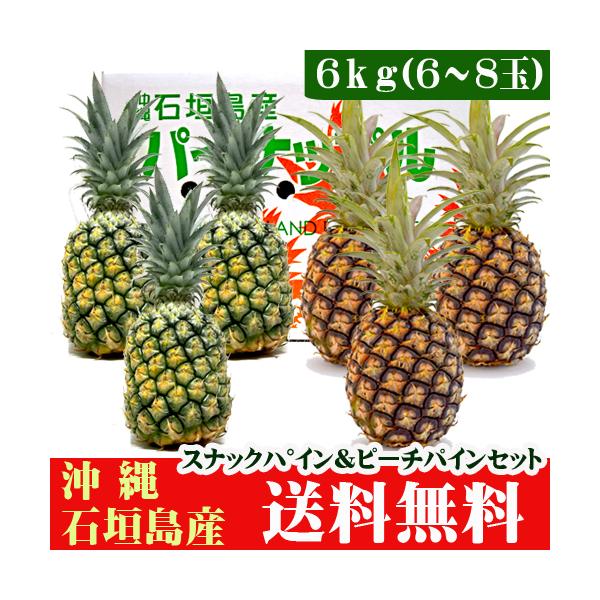 【発売日：2026年05月07日】【2026年産 石垣島パインセット予約受付中】　今年も石垣島より甘~いパインお届けいたします！ ※発送時期は、４月下旬〜６月下旬の収穫期間にご注文順に順次発送になります。　配達日指定などはできませんのでご了...