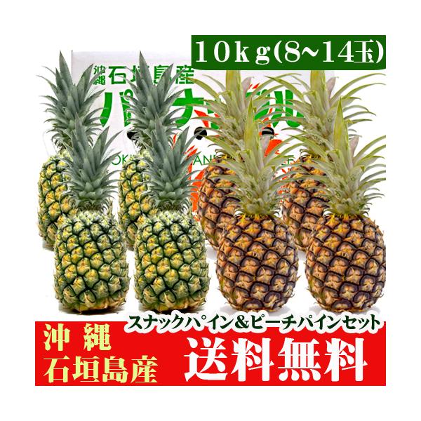 【発売日：2026年05月07日】【2026年産 石垣島パインセット予約受付中】　今年も石垣島より甘~いパインお届けいたします！ ※発送時期は、４月下旬〜５月下旬の収穫期間にご注文順に順次発送になります。　配達日指定などはできませんのでご了...