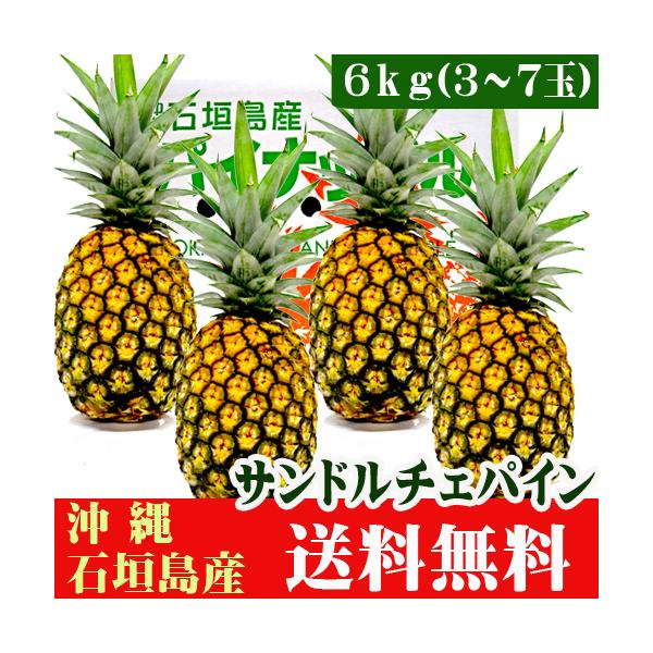【発売日：2026年07月20日】【2026年産石垣島サンドルチェパイン予約受付】石垣島の高品質・高糖度のパインとして新たに生まれた新品種「サンドルチェ(沖農P17 )」パイン。 高い糖度と、ジューシーで芳醇な甘さが楽しめ、新品種ながら多く...