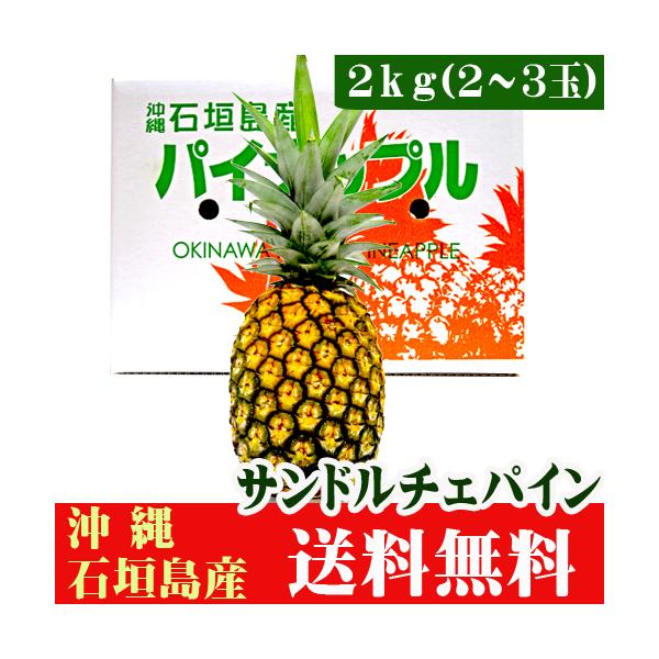 【発売日：2026年07月20日】【2026年産石垣島サンドルチェパイン予約受付中！】石垣島の高品質・高糖度のパインとして新たに生まれた新品種「サンドルチェ(沖農P17 )」パイン。 高い糖度と、ジューシーで芳醇な甘さが楽しめ、新品種ながら...