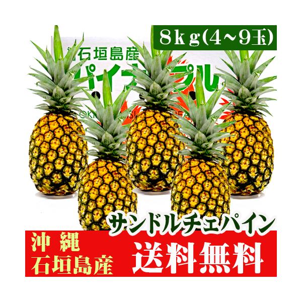 【発売日：2026年07月20日】【2026年産石垣島サンドルチェパイン予約受付】石垣島の高品質・高糖度のパインとして新たに生まれた新品種「サンドルチェ(沖農P17 )」パイン。 高い糖度と、ジューシーで芳醇な甘さが楽しめ、新品種ながら多く...