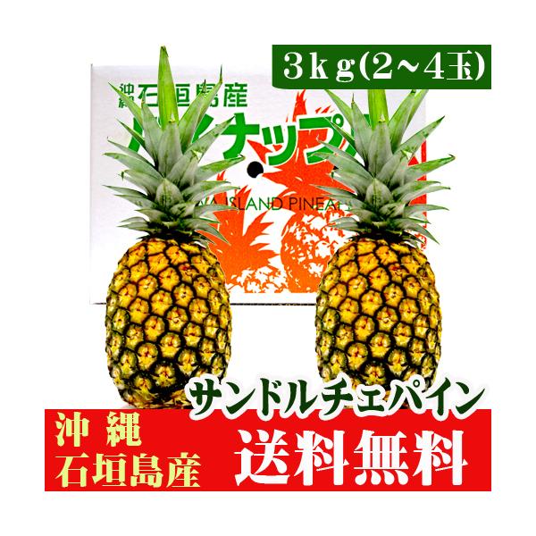【発売日：2026年07月20日】【2026年産石垣島サンドルチェパイン予約受付！】石垣島の高品質・高糖度のパインとして新たに生まれた新品種「サンドルチェ(沖農P17 )」パイン。 高い糖度と、ジューシーで芳醇な甘さが楽しめ、新品種ながら多...