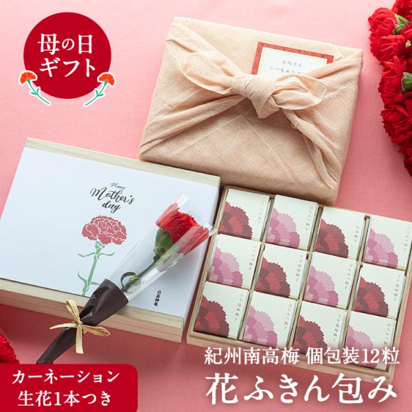 母の日限定でカーネーション1本をおつけした、個包装12粒入花ふきんセット。石神邑母の日限定の華やかなパッケージになりました。塩分約8％うす塩味梅干、塩分約5％はちみつ梅干の2種類を詰め合わせています。紀州産南高梅の中から特大粒のみ厳選し、一...