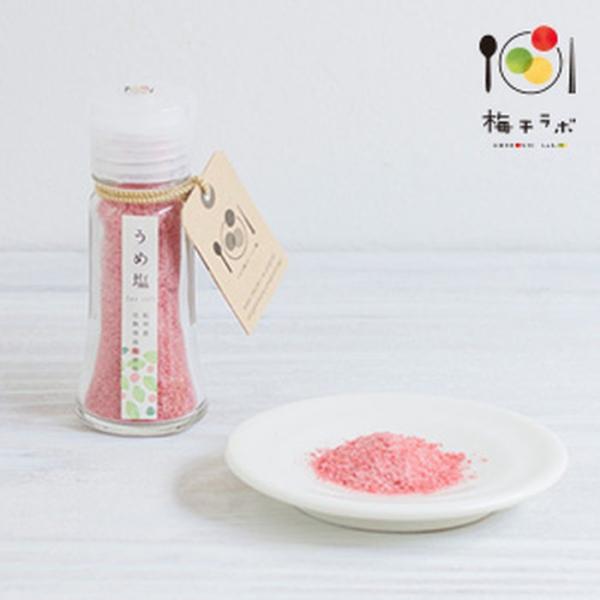 やさしいしょっぱさと、ほのかな酸っぱさ。いつものお料理をひと味変える、さらさら微細粒の新しい調味料です。