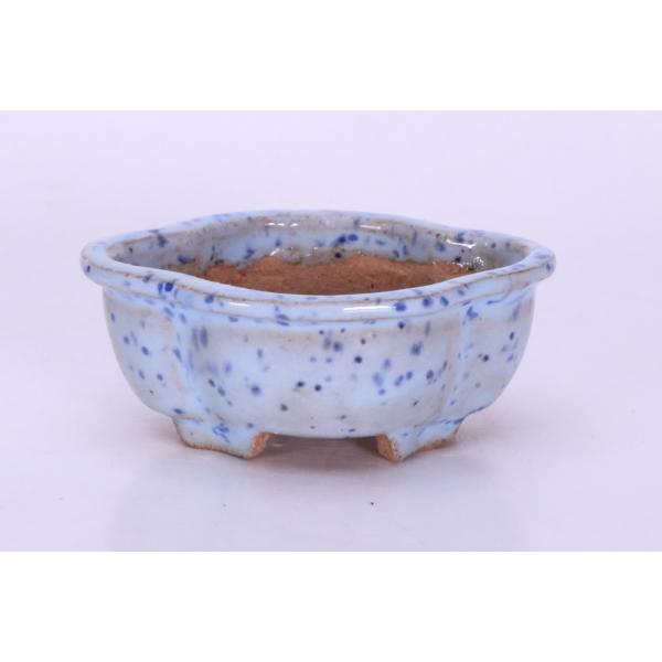 盆栽　鉢　常滑　陶器　泥　山野草　和鉢サイズ：横幅約6.3cm×奥行約5.2cm×高さ約3.0cm（多少の誤差が生じる場合があります。ご了承ください。）※商品画像については、モニターによって色味が若干異なります事ご了承ください。【商品につい...