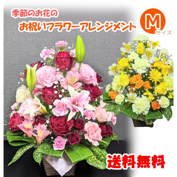 【用途】・お祝い 誕生日 開店祝い 退院 入学 卒業 退職【サイズ】・高さ約40cm x 幅約35cm※生花のため若干の固体差があります。【付属品】・お手入れ書・栄養剤※ギフト商品のため金額の入った納品書等は同梱致しません。【立札又はメッセ...