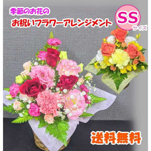 【用途】・お祝い 誕生日 開店祝い 退院 入学 卒業 退職【サイズ】・高さ約25cm x 幅約20cm※生花のため若干の固体差があります。【付属品】・お手入れ書・栄養剤※ギフト商品のため金額の入った納品書等は同梱致しません。【立札又はメッセ...