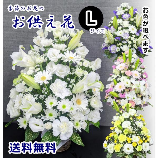 【用途】・お供え 法要 法事 供養 盆 彼岸 命日 葬式 お通夜【サイズ】・高さ約50cm x 幅約40cm※生花のため若干の固体差があります。【付属品】・お手入れ書・栄養剤※ギフト商品のため金額の入った納品書等は同梱致しません。【立札又は...