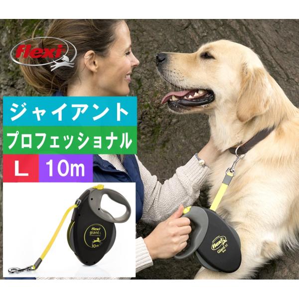 夜間の安全を第一に考えられたネオンカラーのテープ硬くて柔らかなグリップ感快適なブレーキシステム強固な帯紐【サイズ】プロフェッショナル L（50kg以下）【紐タイプ】テープ【カラー】ブラック【長さ】（最大）10m【重量】860g【企画】フレキ...