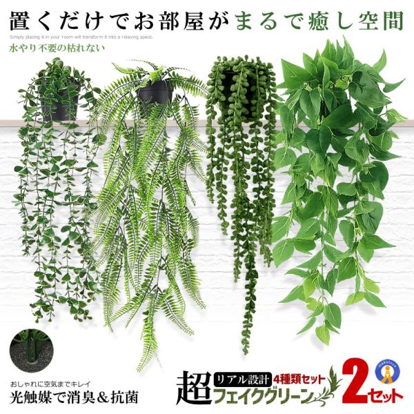置くだけで、お部屋がまるで癒し空間。光触媒で消臭＆抗菌。おしゃれに空気までキレイ水やり不要の枯れない「超リアルフェイクグリーン」●忙しい毎日に手間ゼロの癒しを！吊るすだけでカフェみたいな空間に。ペットやお子様がいるご家庭にも。●お部屋に“本...