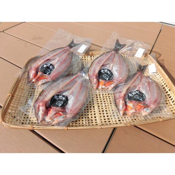 ・原料のイサキ　(1)原産地------ 和歌山日高〜日ノ岬〜印南　　　　　　　　(2)サイズ、数量------ 約34cm前後、400g前後を4枚（かなり大きいめ）・特徴 (1) アジやサバと違いイサキは見慣れませんが、近海魚では旨み、脂...