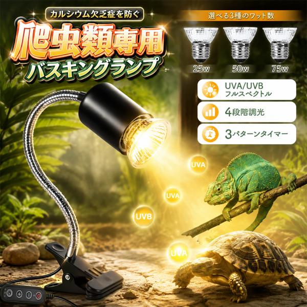 【3つの電球付属25W、50Wと75W】 亀の飼育には、身体を温める為のバスキングライトと体内のビタミンD 生成の為のUVライトの種類が必要です。この両生類用ライトは熱帯・亜熱帯に棲息する爬虫類に不可欠なUVAとUVBを照射するるランプです...