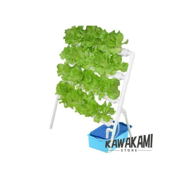 水耕栽培キット すいこう栽培キット 野菜 栽培キット 室内 いちご 家庭菜園 水耕栽培セット プランター 36穴