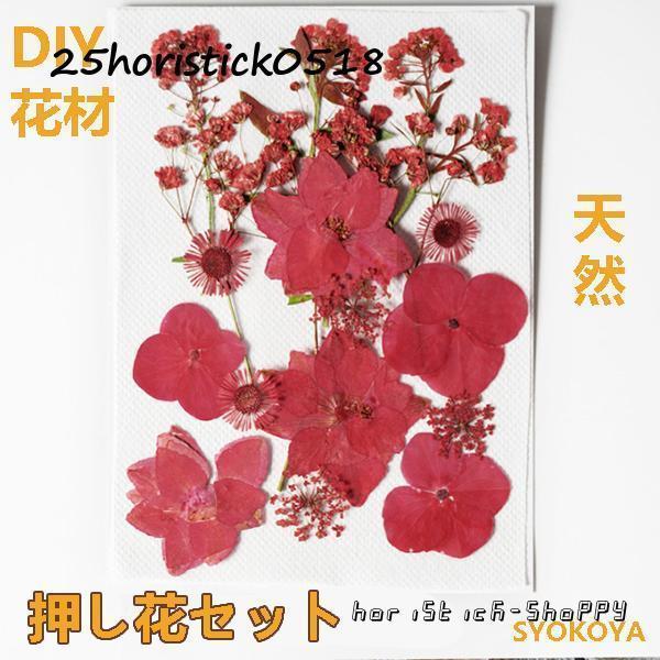 [ セット内容 ]押し花：18枚入り（天然色）「記載のないアクセサリー、小物等は付属しません」[ カラー ]写真をご参考ください（天然色）素材本物の押し花自然の草花を乾燥させ「押し花」に加工処理しました。フラワーアレンジメントやウェルカムボ...
