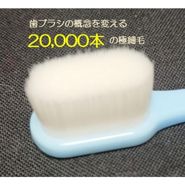 送料無料 〜触ってみて〜羽毛のようなブラシヘッド●お口の清潔を第一に考えたプラチナ ナノ粒子の歯ブラシ●Pt nanoとは・・・？最先端のナノテクノロジーにより白金ナノ粒子にクエン酸やアスコルビン酸などを保護剤として調合することで、抗菌や抗...