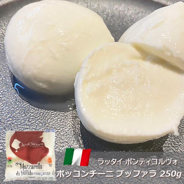 ラッタイポンティコルヴォ社ボッコンチーニ ブッファラ 250g  イタリア産商品名：モッツァレラ ディ ブッファラ種類別：ナチュラルチーズ原材料名：水牛乳、ホエイ、食塩内容量：250g原産国名：イタリア保存方法：要冷蔵（10℃以下で保存）配...