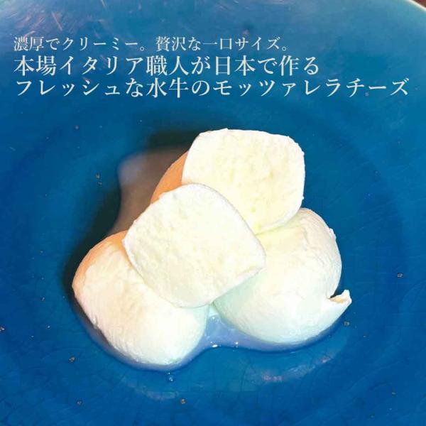 ファットリアビオ北海道社ボッコンチーニ ブッファラ 132g  日本産商品名：モッツァレラ ディ ブッファラ種類別：ナチュラルチーズ原材料名：水牛乳、ホエイ、食塩内容量：132g原産国名：日本保存方法：要冷蔵（10℃以下で保存）配送方法：ク...