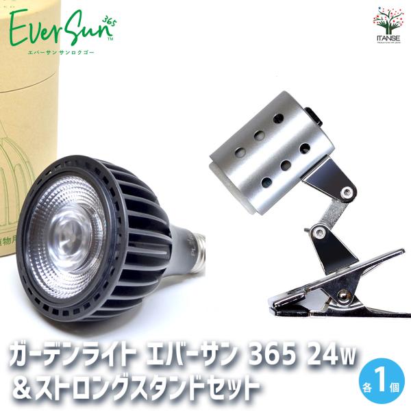 【セット内容】エバーサン 365(サンロクゴー)24W 黒：1個ライト用ストロングスタンド クリップ式ソケット：1個植物育成用のガーデニングライトと、クリップ型ソケットのセット商品です。このセットがあれば、室内の植物をより手軽に、健康に育て...